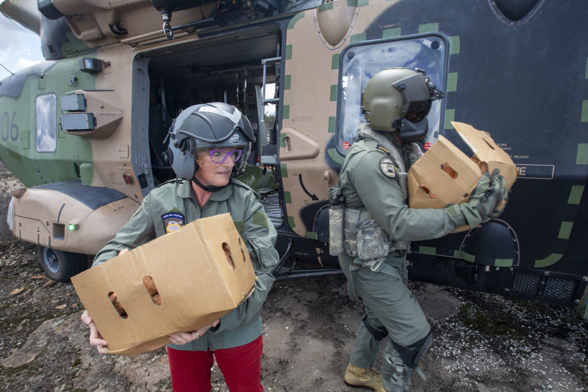 Shoalhaven's Mayor is leading local action on climate change